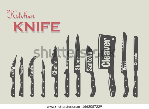 Meat Cutting Knives Set Poster Kitchen Stock Vector (Royalty Free ...