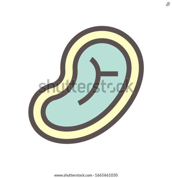 Meat Vector Icon Uncooked Food Piece Stock Vector (Royalty Free ...