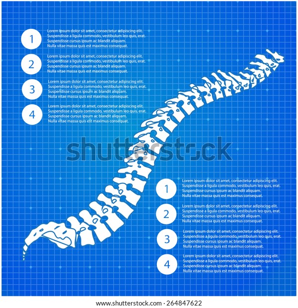 medic spine human on the blueprint