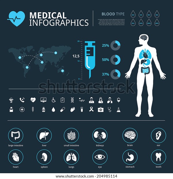 Medical Human Organs Icon Set Human Stock Vector (Royalty Free ...