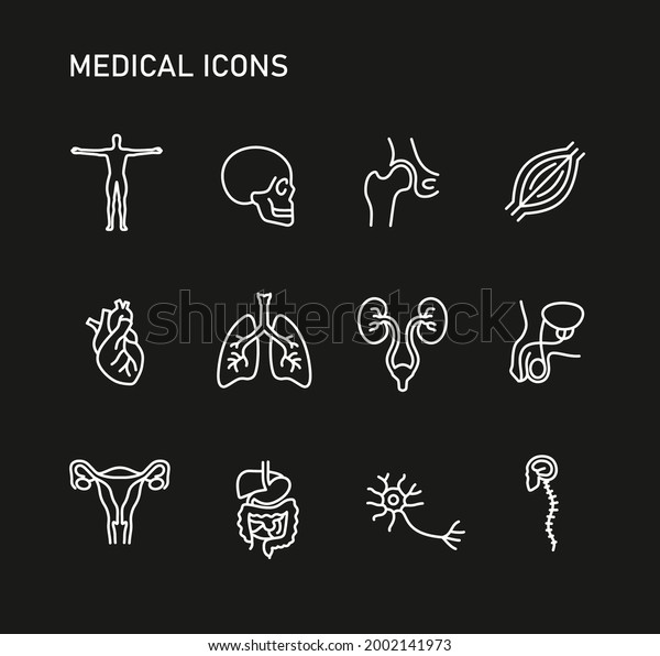 Medical Icons Outline Simple Vector Line Stock Vector (Royalty Free ...
