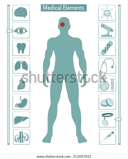 Medical Info Graphics Human Body Internal Stock Vector (Royalty Free ...