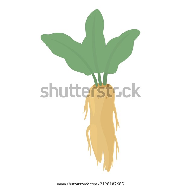 Medicine Mandrake Icon Cartoon Vector Magic Stock Vector (Royalty Free ...