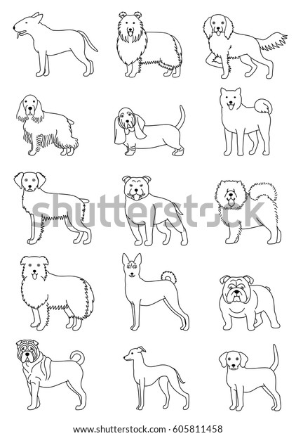 Medium Dog Breeds Line Art Set 库存矢量图（免版税）605811458 | Shutterstock