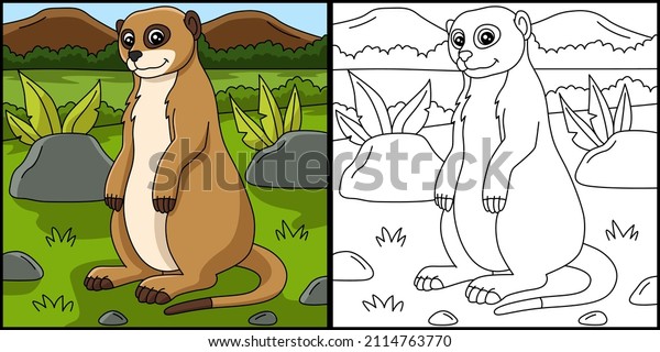 Meerkat Coloring Page Vector Illustration 库存矢量图（免版税）2114763770 ...