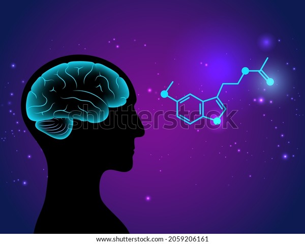 Melatonin Chemical Formula Logo Control Sleep Stock Vector (Royalty ...