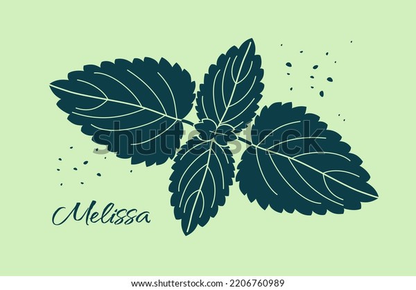 Melissa Leaves Aromatic Herb Leaves Vector Stock Vector (Royalty Free ...