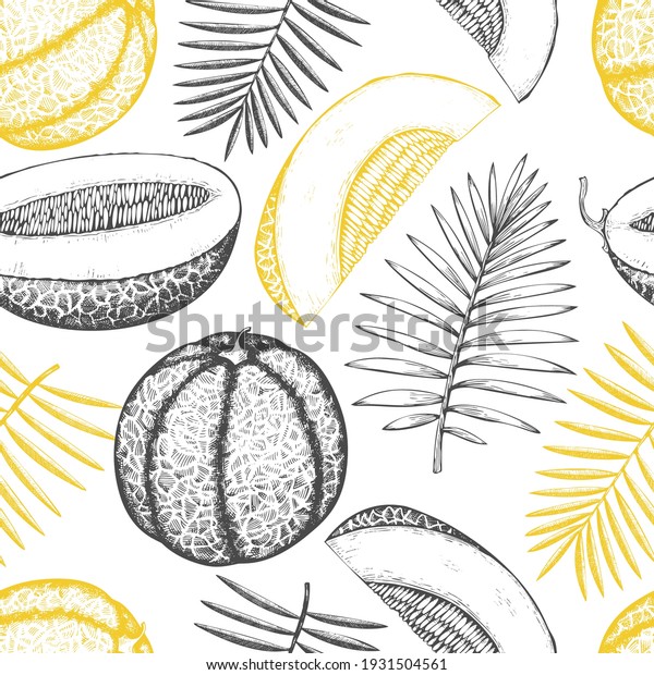 Melons Tropical Leaves Seamless Pattern Hand Stock Vector (Royalty Free ...