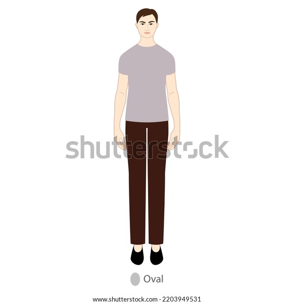 Men Oval Body Shape Character Male Stock Vector (Royalty Free ...