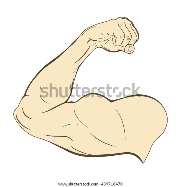 Mens Arm Muscles Biceps Vector Illustration Stock Vector (Royalty Free ...