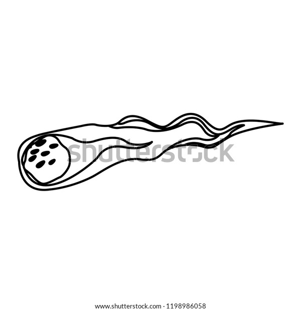 Meteor On Fire Cartoon Stock Vector (Royalty Free) 1198986058 ...