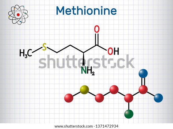 Methionine L Methionine Met M Essential Stock Vector (Royalty Free ...