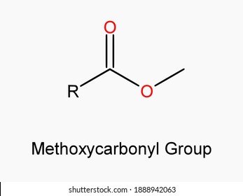 Methoxycarbonyl Functional Group Molecule Atom Formula Stock Vector ...