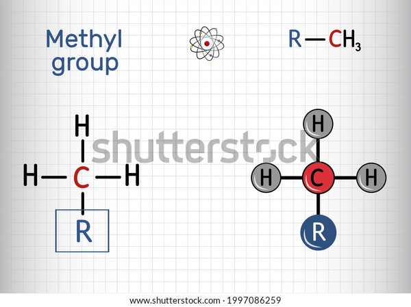 Methyl Group Me Ch3 Alkyl Functional Stock Vector (Royalty Free ...