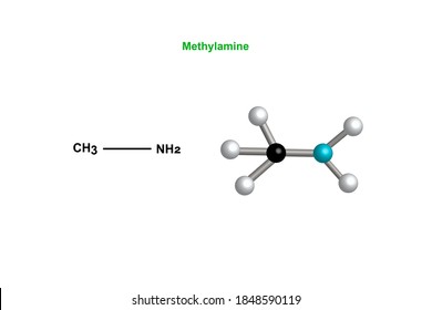 Estructura molecular química de metilamina ilustración: vector de stock ...