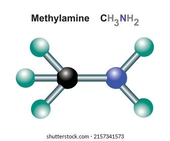 La molécula de metilamina es simple: vector de stock (libre de regalías ...