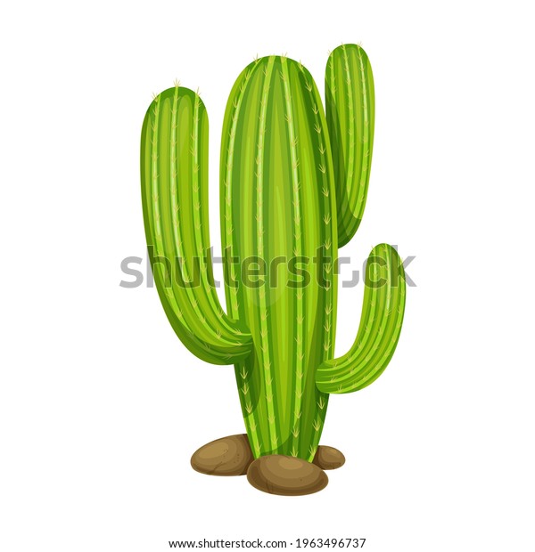 Mexican Cactus Vector Illustration Nopal Icon 库存矢量图（免版税）1963496737 ...