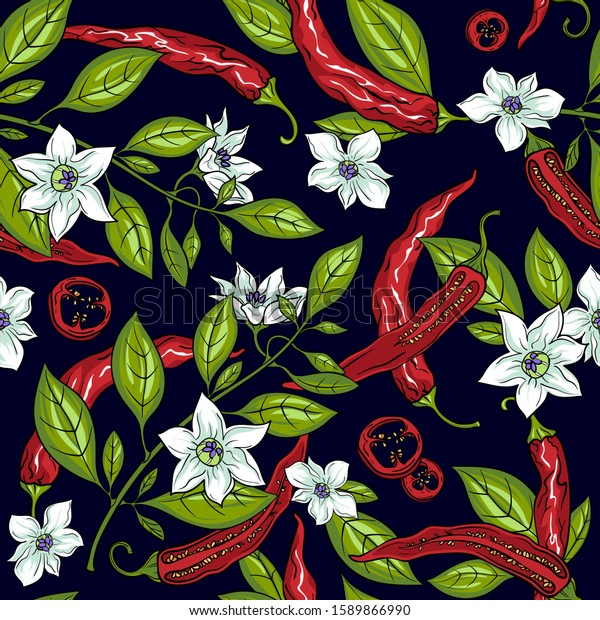 19,780 Chilli Plant Illustration Images, Stock Photos & Vectors ...