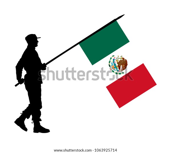 Mexico Soldier National Flag Mexico Vector Stock Vector (Royalty Free ...
