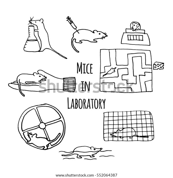 Mice Lab Hand Drawn Stock Vector: เวกเตอร์สต็อก (ปลอดค่าลิขสิทธิ์ ...