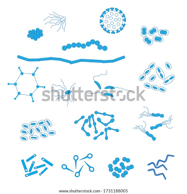 Microbiology Illustration Pack Any Purpose Stock Vector (Royalty Free ...