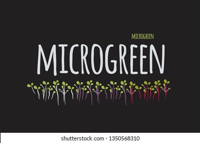 1,880 Microgreens Stock Vectors, Images & Vector Art | Shutterstock