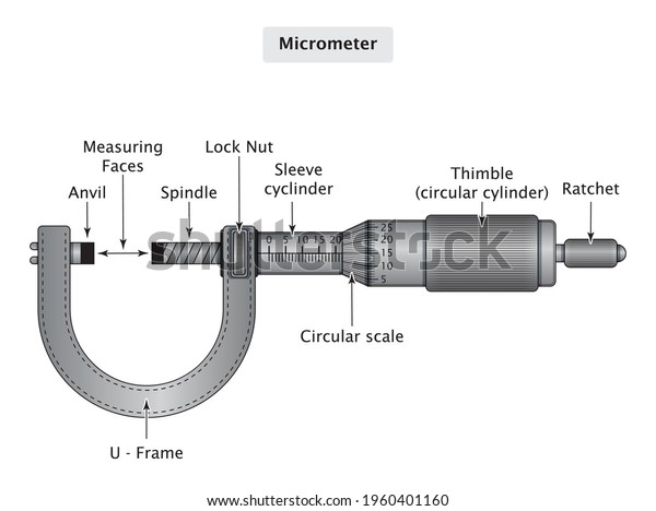 Micrometer Screw Gauge Anatomy Physics Education: เวกเตอร์สต็อก (ปลอด ...