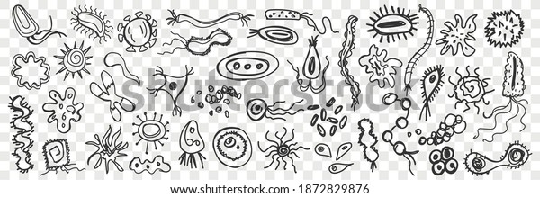 Microorganisms Bacteria Hand Drawn Doodle Set Stock Vector (Royalty ...