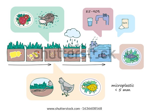 Microplastics Infographics Plastic Life Cycle Environmental Stock ...