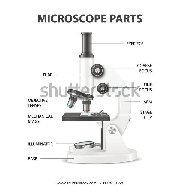 Piezas De Microscopio Microscopio De Laboratorio Blanco Realista Con Vector 3d Aislado En