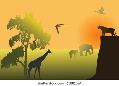 Migration African Animals Stock Vector (Royalty Free) 63881524 ...