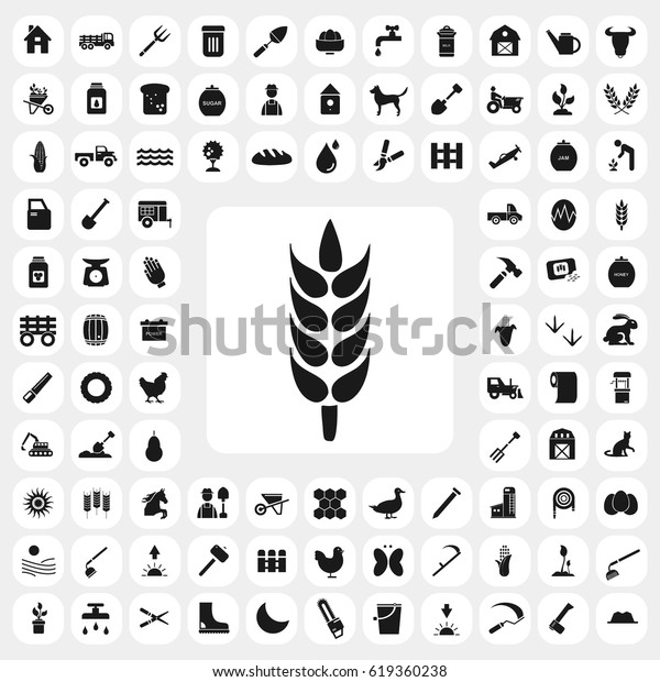 Millet Icon Agriculture Set Vector Sign Stock Vector (Royalty Free ...