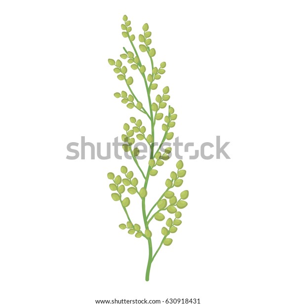 Millet Icon Cartoon Illustration Millet Vector Stock Vector (Royalty ...