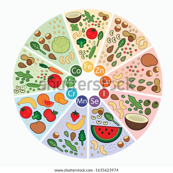 Minerals Vegetablesplant Based Sources Related Minerals Stock Vector ...