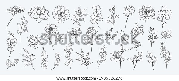 Minimal Botanical Hand Drawing Design Logo Stock Vector (Royalty Free ...