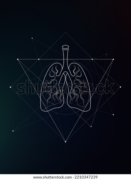Minimal Lungs Respiratory System Illustration On Stock Vector (Royalty ...