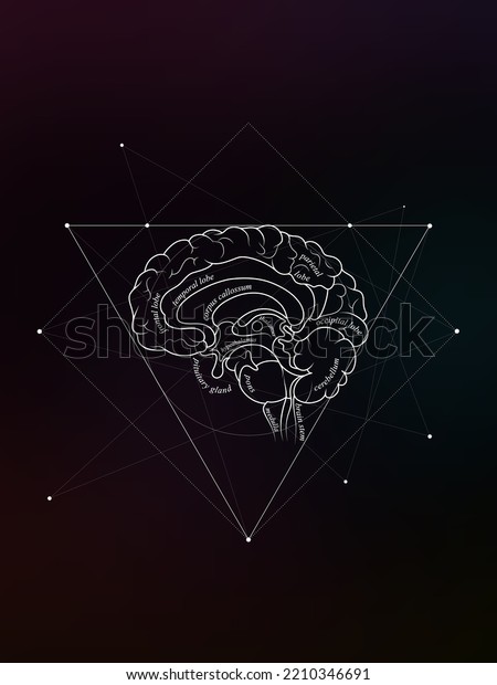 Minimal Neuroscience Infographic On Gradient Human Stock Vector ...