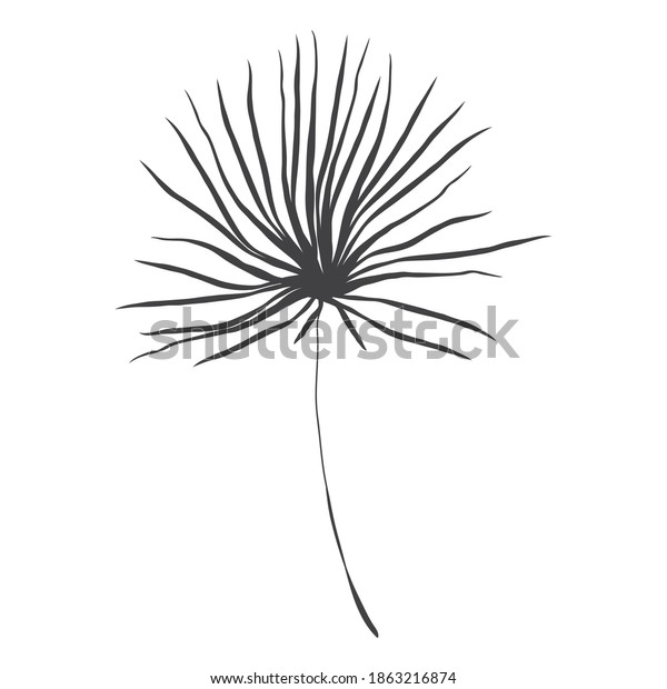 Minimalism Line Drawing Leaf Vector One Stock Vector (Royalty Free ...