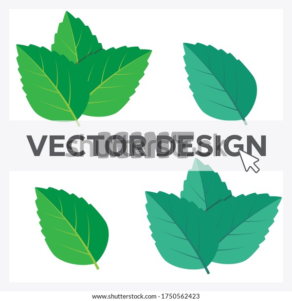 Mint Green Vector Illustration Set Mint Stock Vector (Royalty Free ...