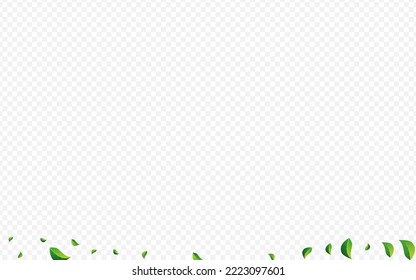 3,631 Mint Wind Stock Vectors, Images & Vector Art | Shutterstock