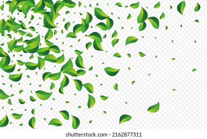 Mint Greens Forest Vector Transparent Background Stock Vector (Royalty ...