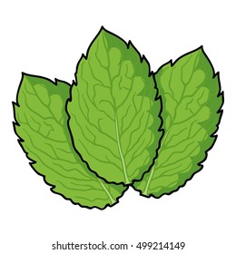 Mint Icon Cartoon Style Isolated On Stock Vector (Royalty Free ...