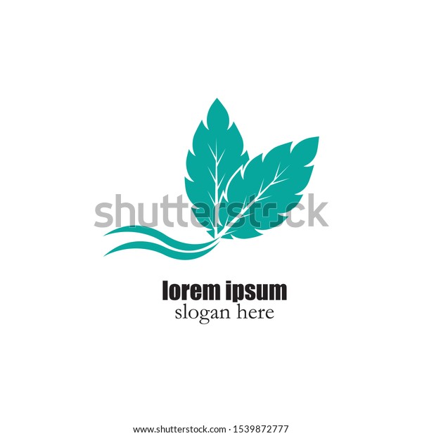 Mint Icon Fresh Mint Leaves Logo Stock Vector (Royalty Free) 1539872777 ...