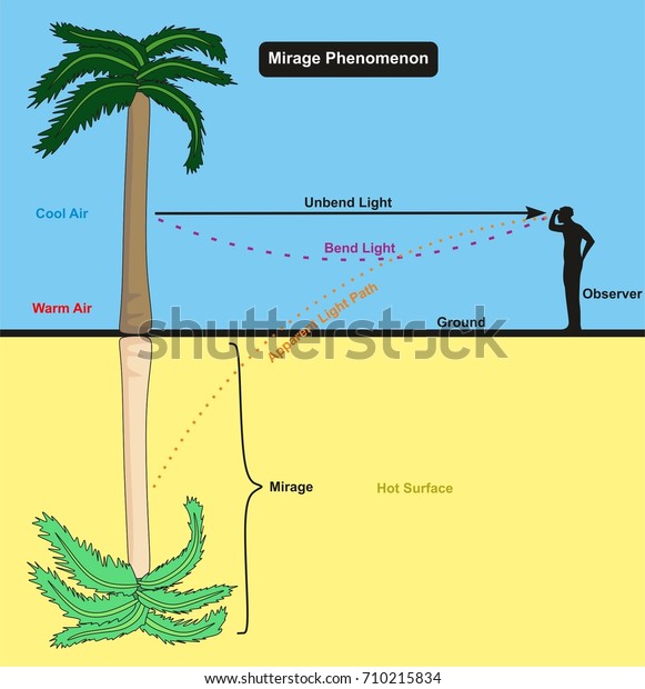 Mirage Phenomenon Infographic Diagram Example Observer: เวกเตอร์สต็อก ...