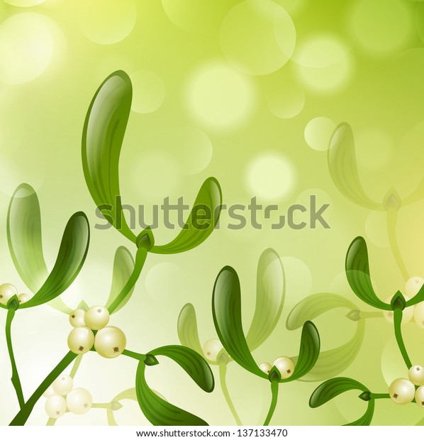 Mistletoe Over Bright Green Background Stock Vector (Royalty Free ...