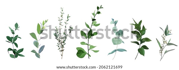 13,819 Silver Stem Images, Stock Photos & Vectors | Shutterstock