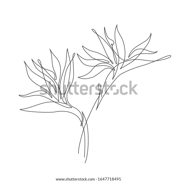 Modern Continuous Line Art Ancient Greek: เวกเตอร์สต็อก (ปลอดค่า ...