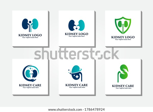 Modern Kidney Logo Vector Collection Urology Stock Vector (Royalty Free ...