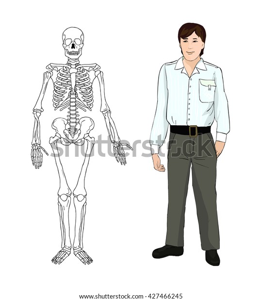 Modern Man His Skeleton Bones Vector Stock Vector (Royalty Free ...