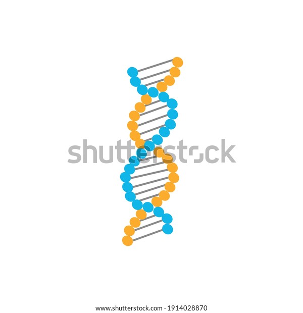 Modern Minimalist Dna Vector Illustration Isolated Stock Vector ...